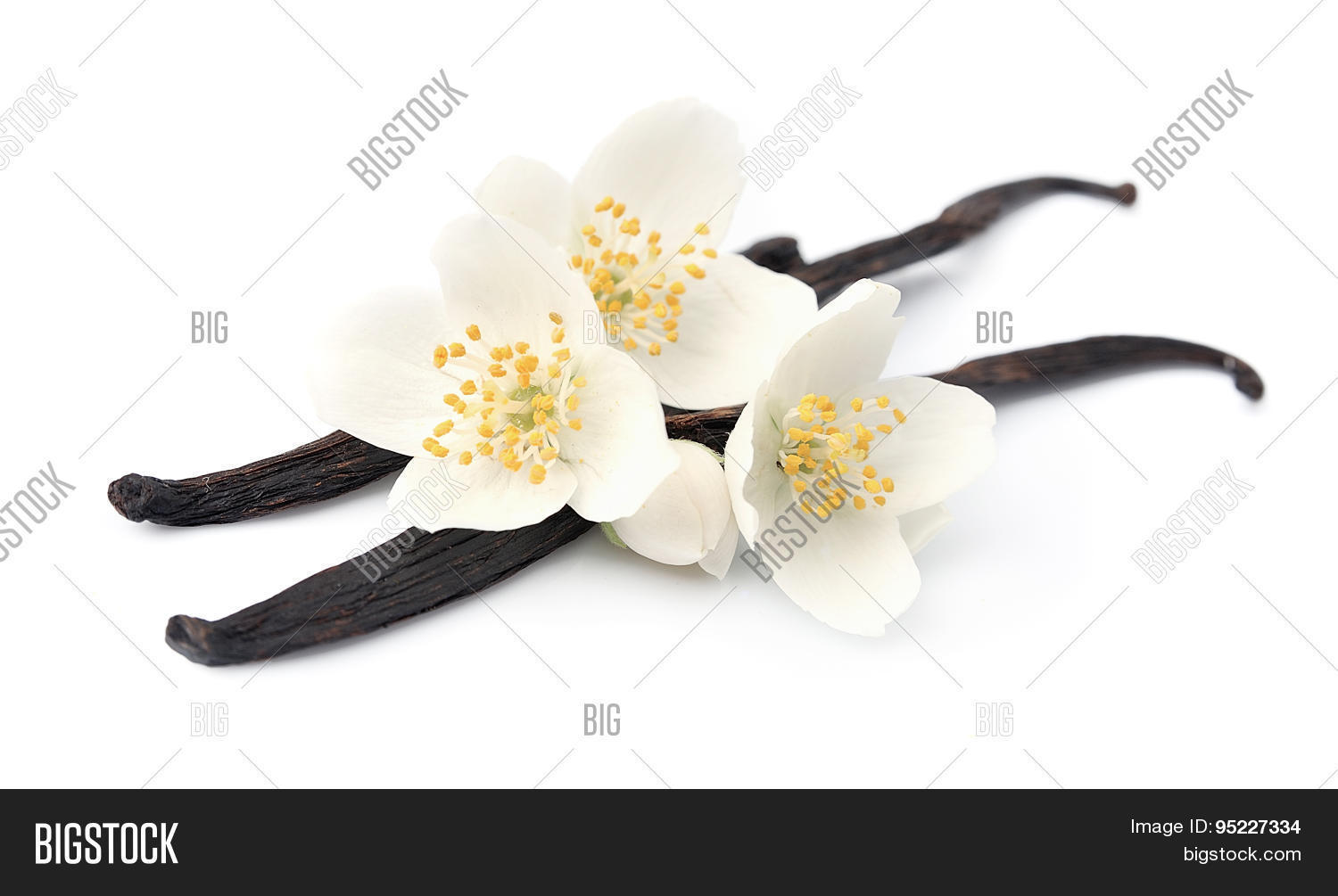 Vanilla Sticks Image & Photo (Free Trial) | Bigstock