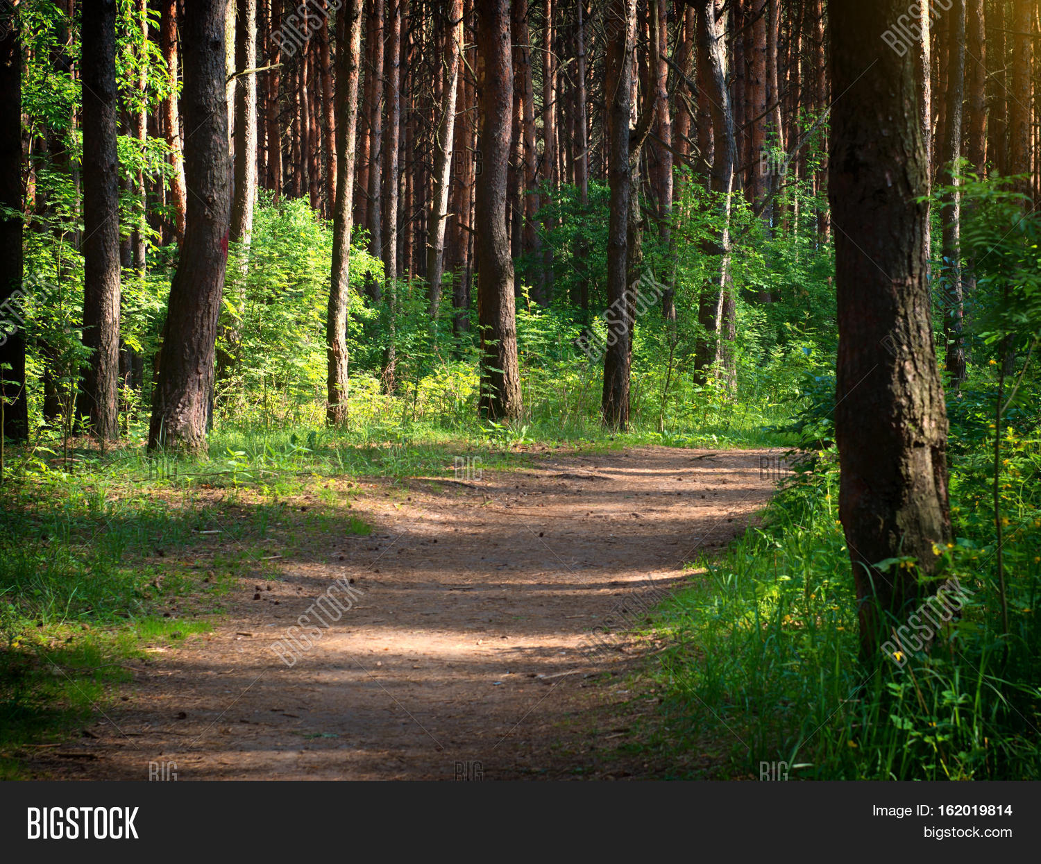 Walkway Lane Path Image & Photo (Free Trial) | Bigstock