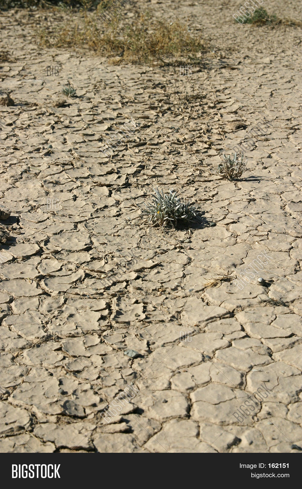 Dry Ground Image & Photo (Free Trial) | Bigstock
