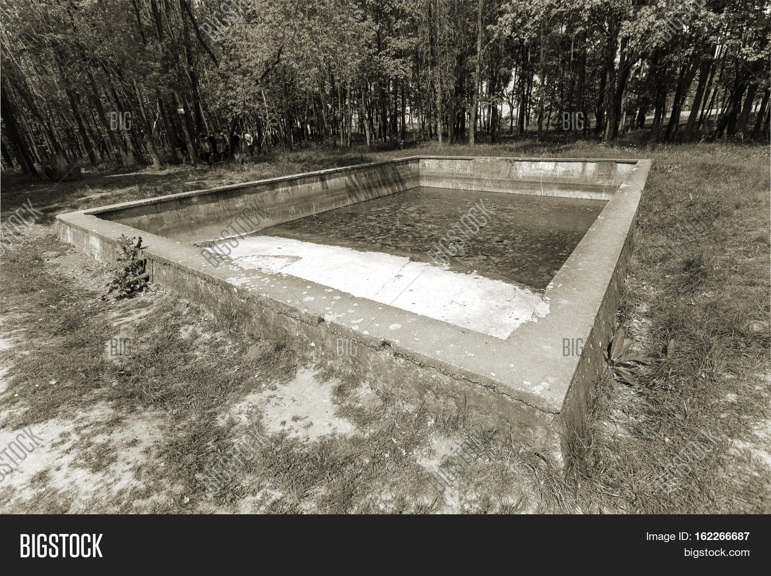 Old Swimming Pool Image & Photo (Free Trial) | Bigstock