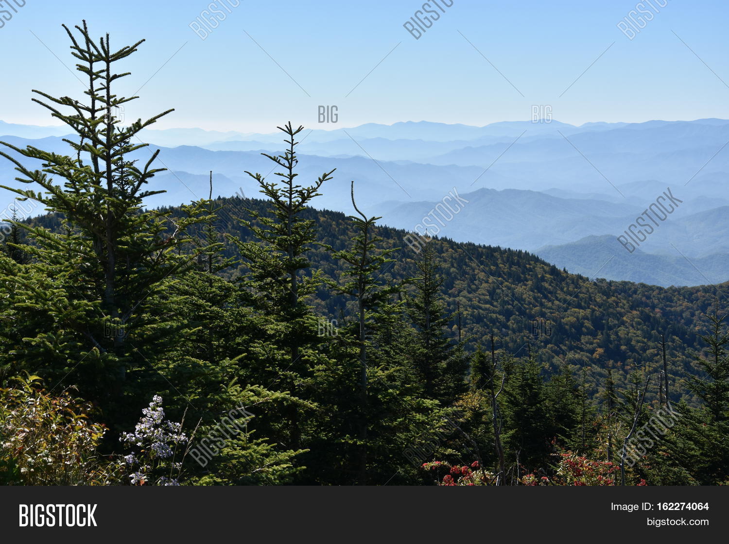 View Clingmans Dome Image & Photo (Free Trial) | Bigstock