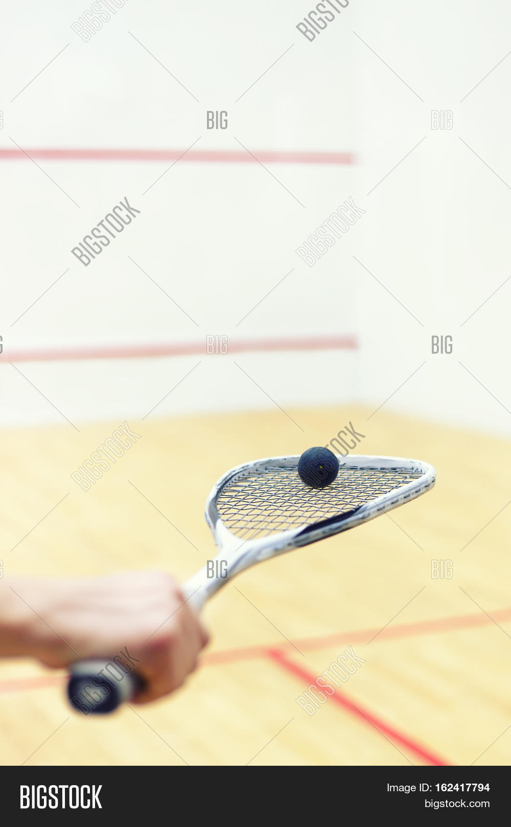 Squash Racket Ball Men Image & Photo (Free Trial) | Bigstock