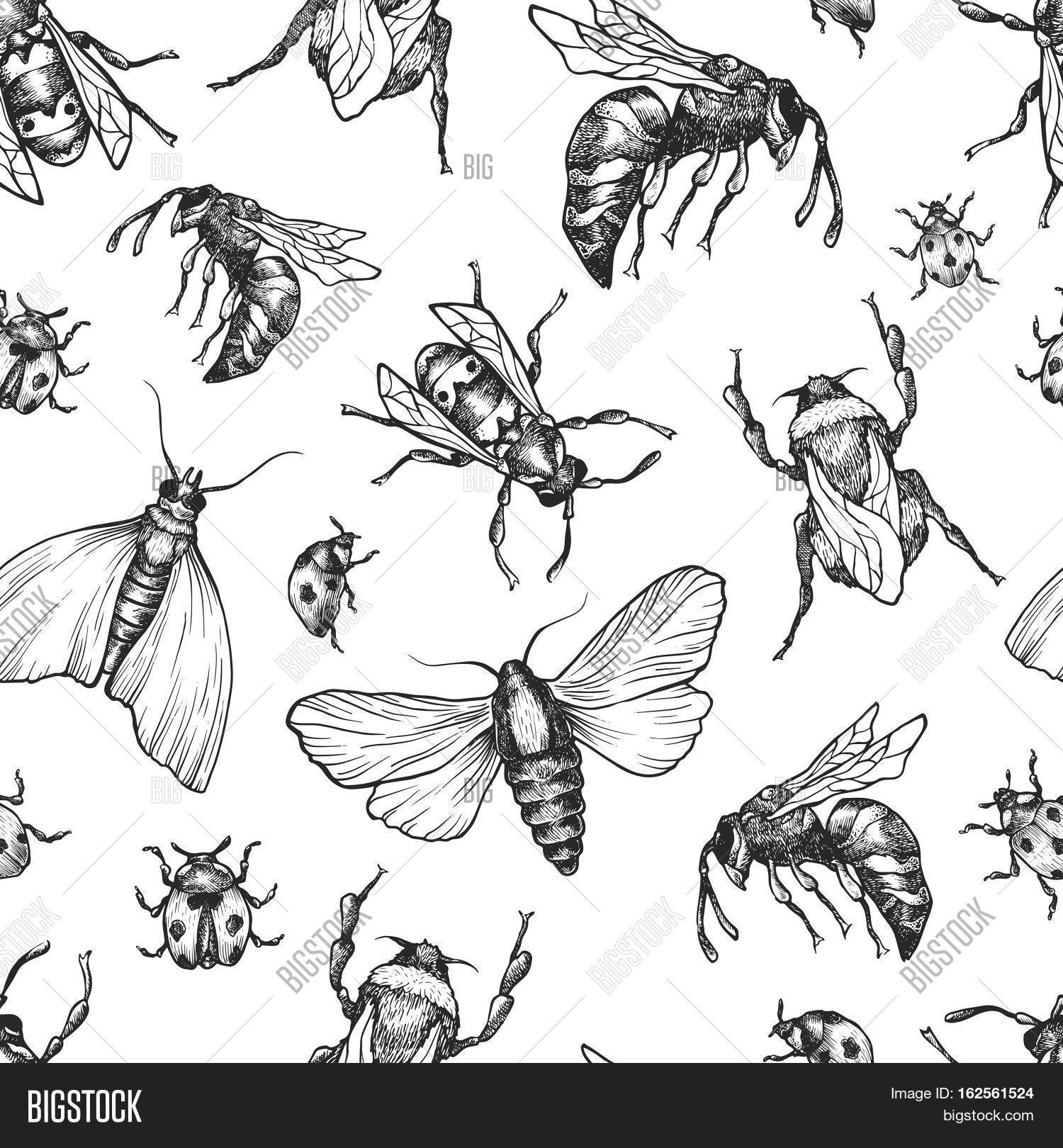 Insects Pattern Vector & Photo (Free Trial) | Bigstock