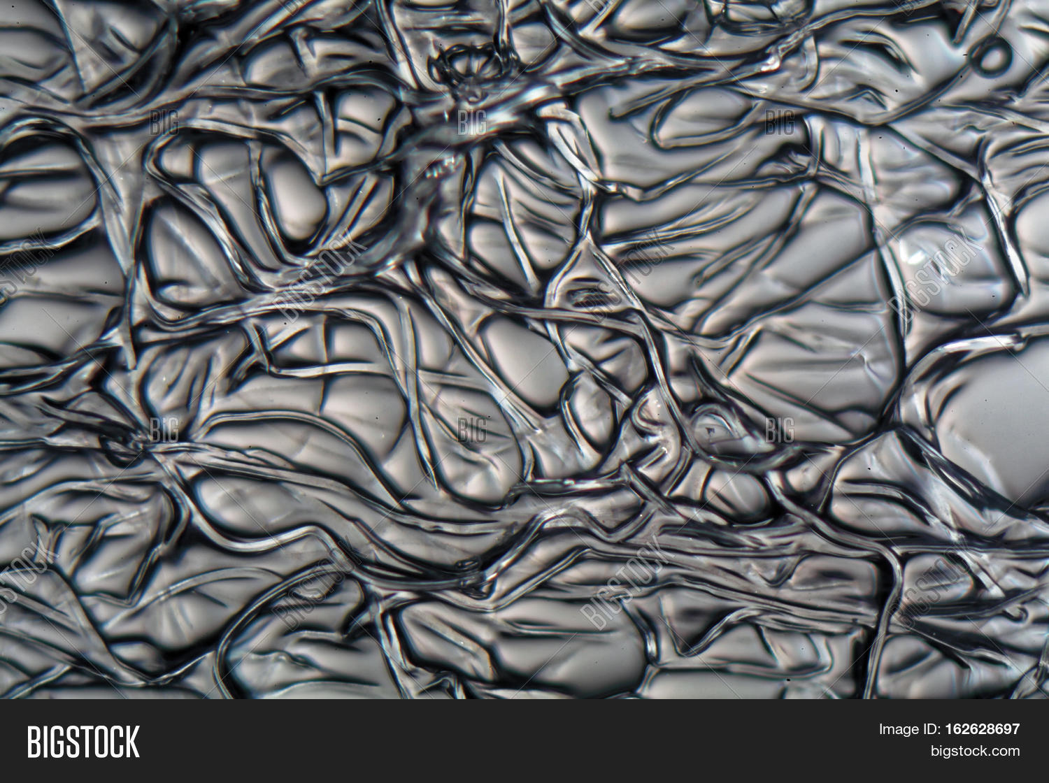 Fibers Cellulose Image & Photo (Free Trial) | Bigstock