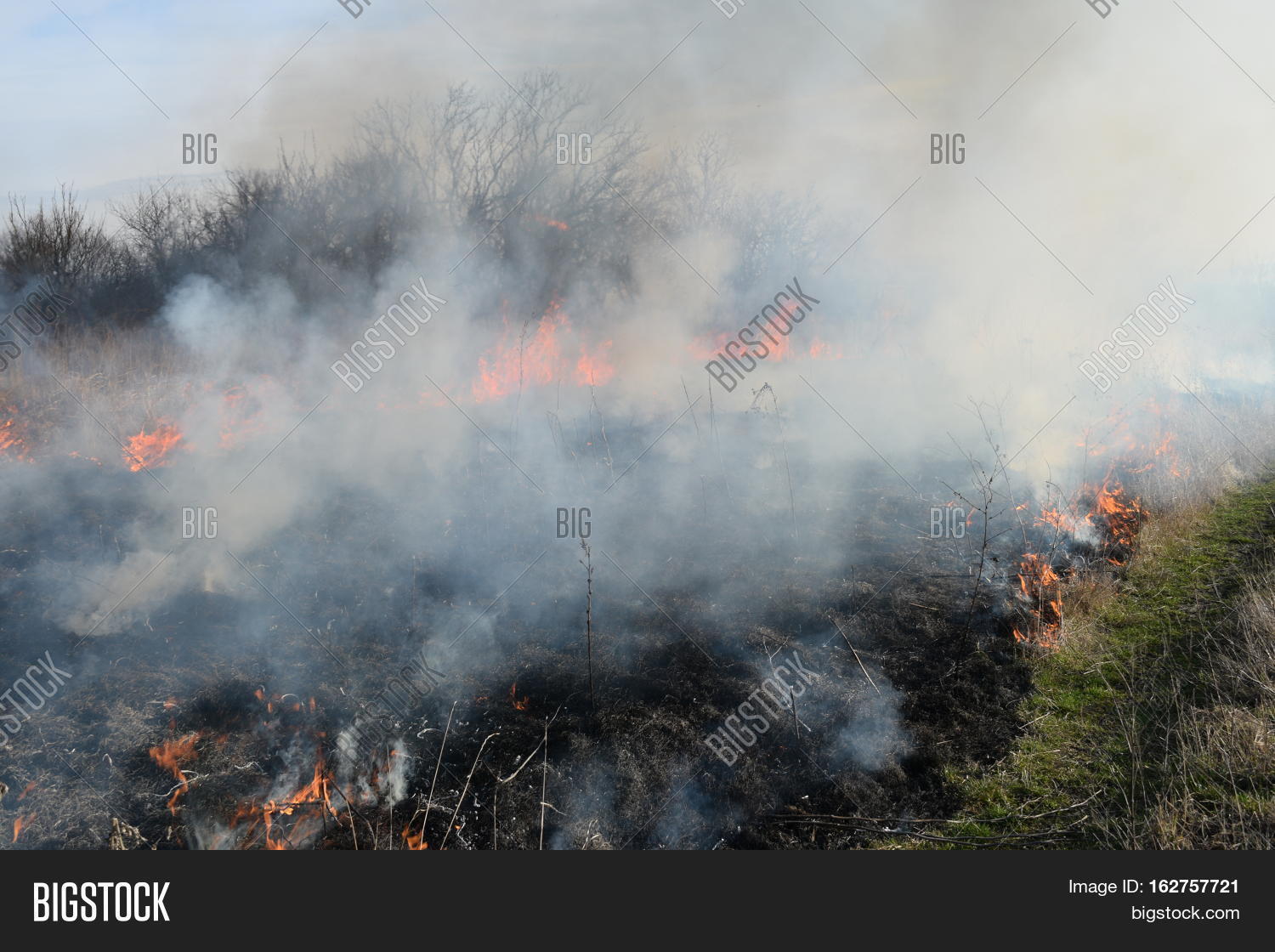 Burning Dry Grass Image & Photo (Free Trial) | Bigstock