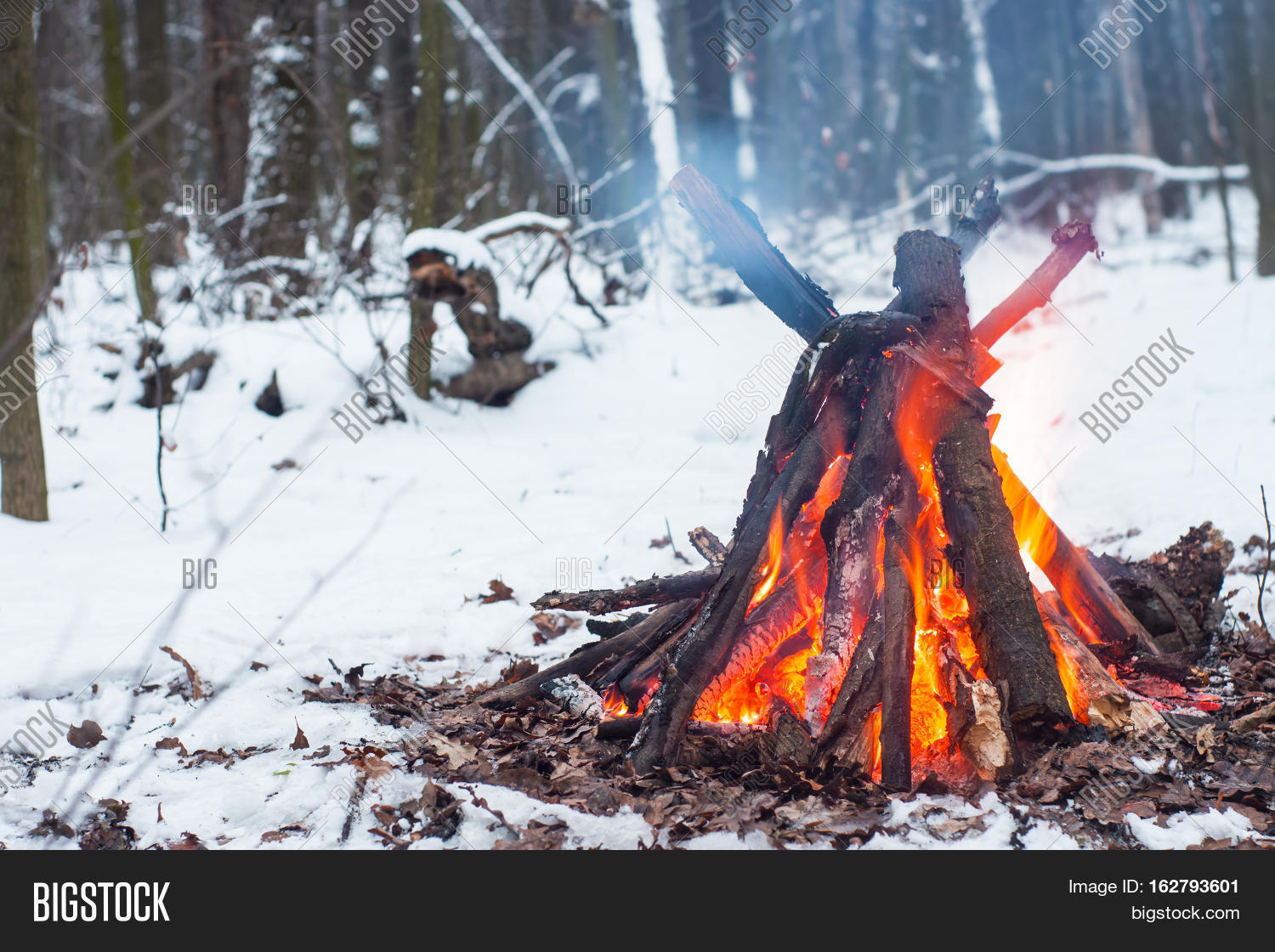 Fire Winter Forest Image & Photo (Free Trial) | Bigstock