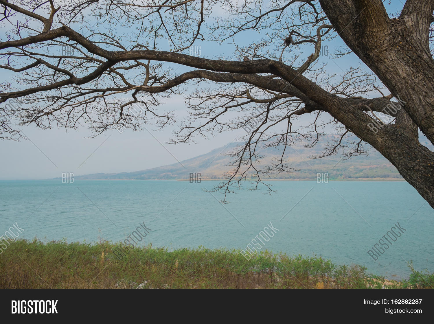 Big Tree Hill River Image & Photo (Free Trial) | Bigstock