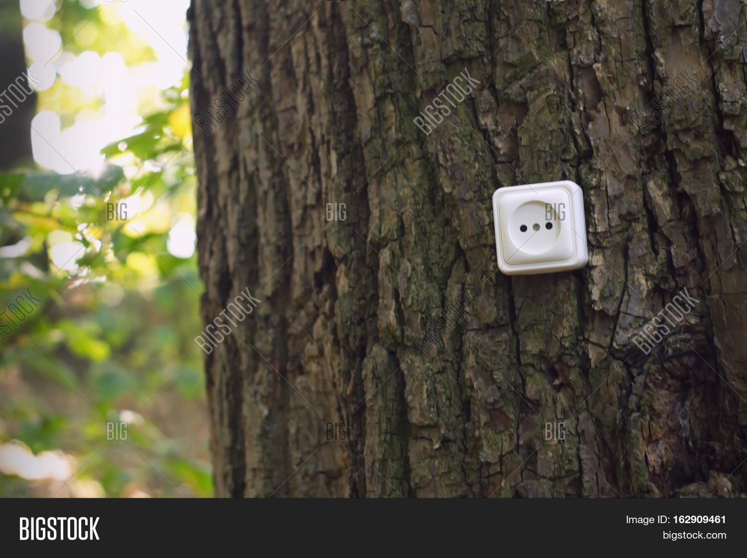 Electric Socket On Image & Photo (Free Trial) | Bigstock