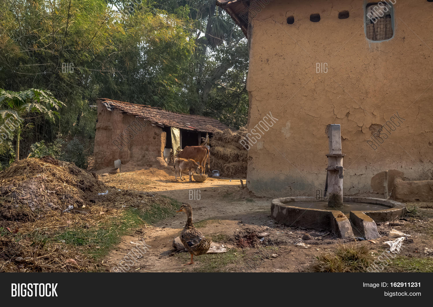 Rural Indian Village Image & Photo (Free Trial) | Bigstock