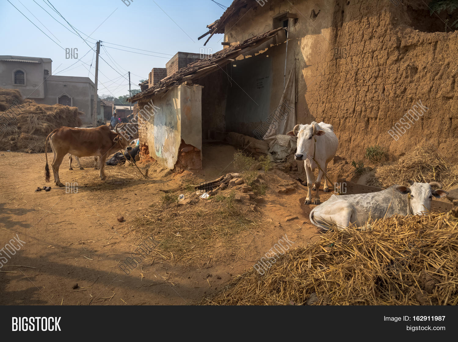 Rural Indian Village Image & Photo (Free Trial) | Bigstock