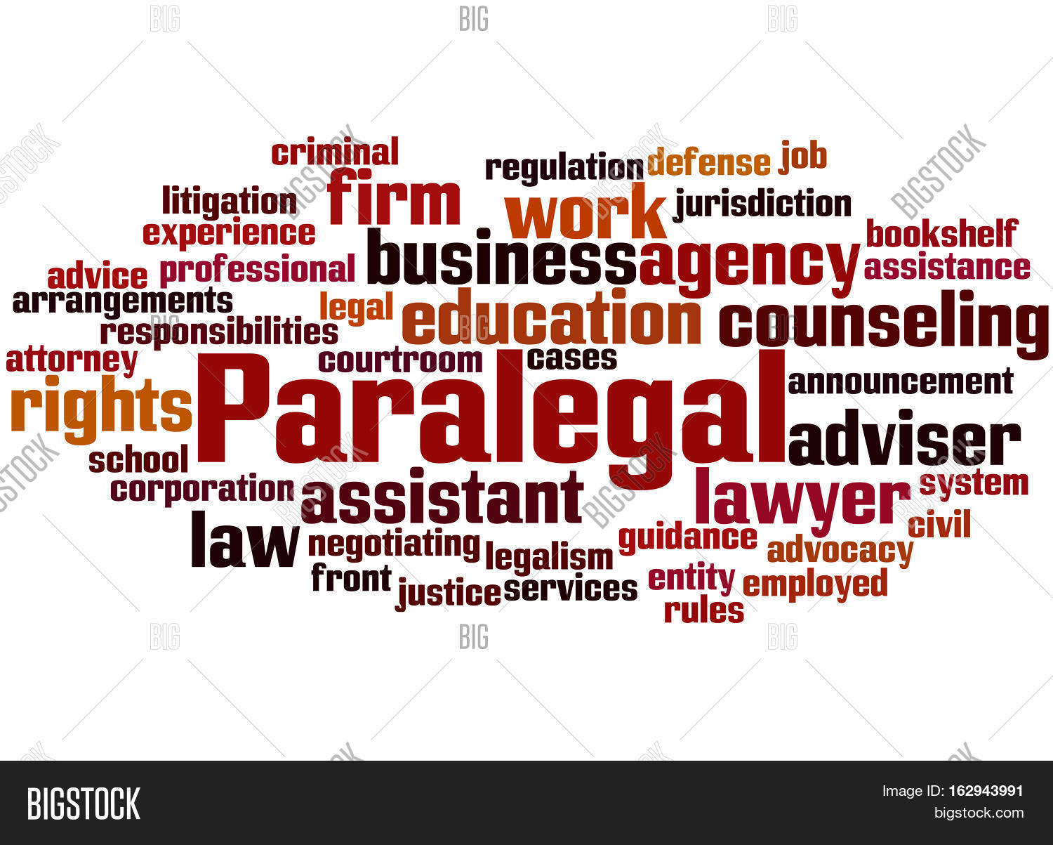Paralegal, Word Cloud Image & Photo (Free Trial) | Bigstock