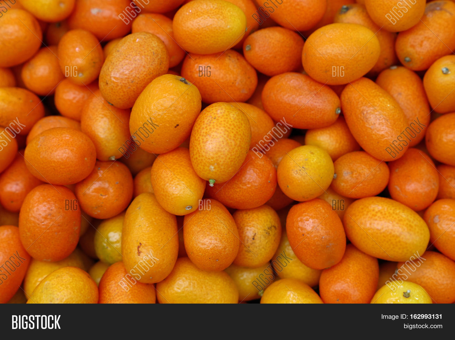 Fresh Orange Cumquat Image & Photo (Free Trial) | Bigstock