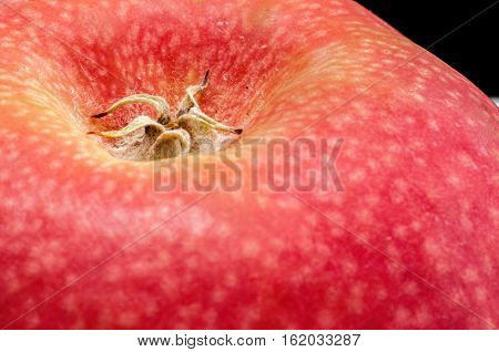 Closeup View Red Apple Image & Photo (Free Trial) | Bigstock