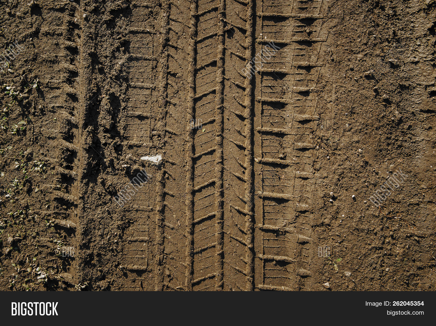 Tire Tracks In Dirt