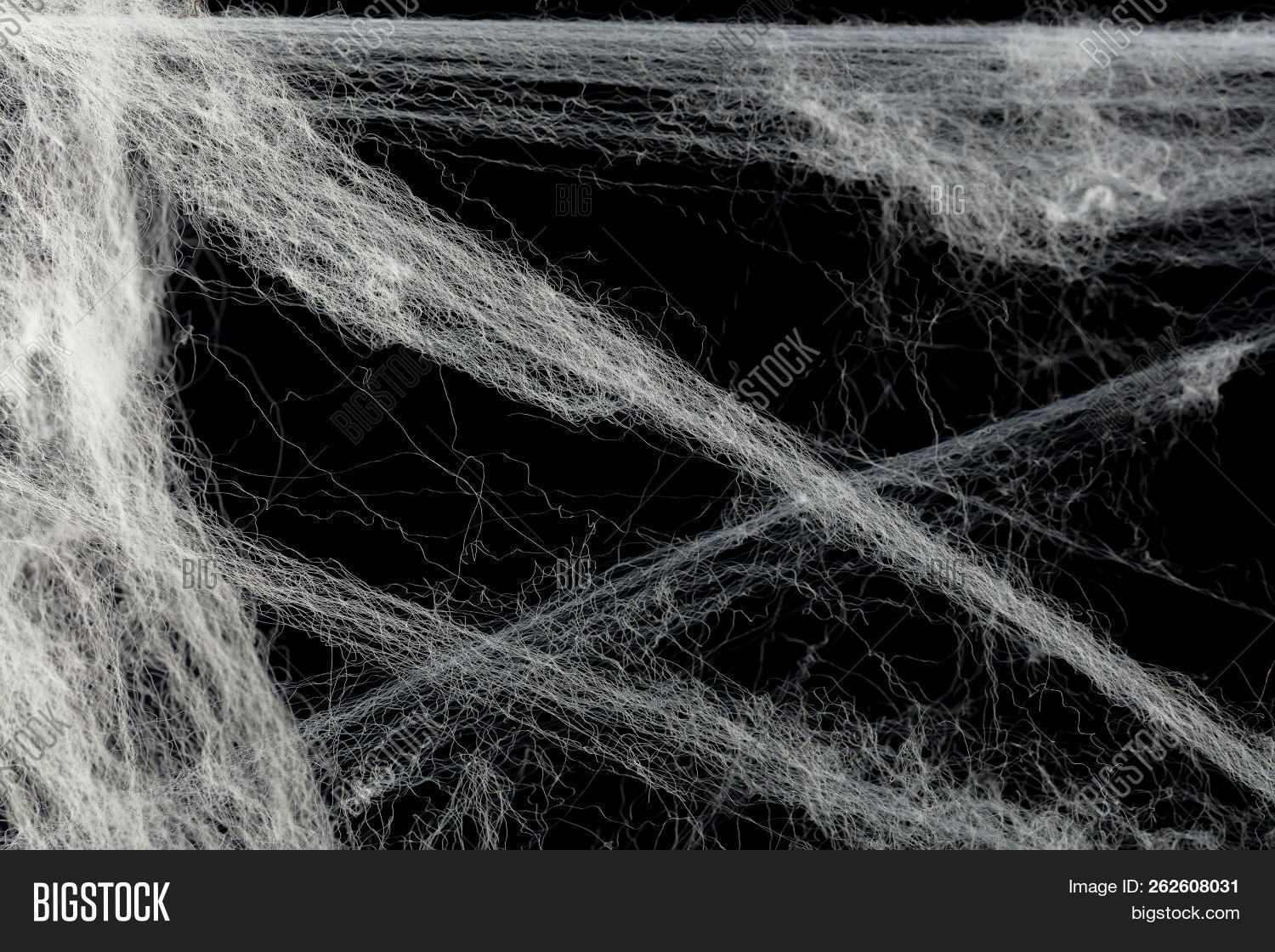 Cobweb Spider's Web Image & Photo (Free Trial) | Bigstock