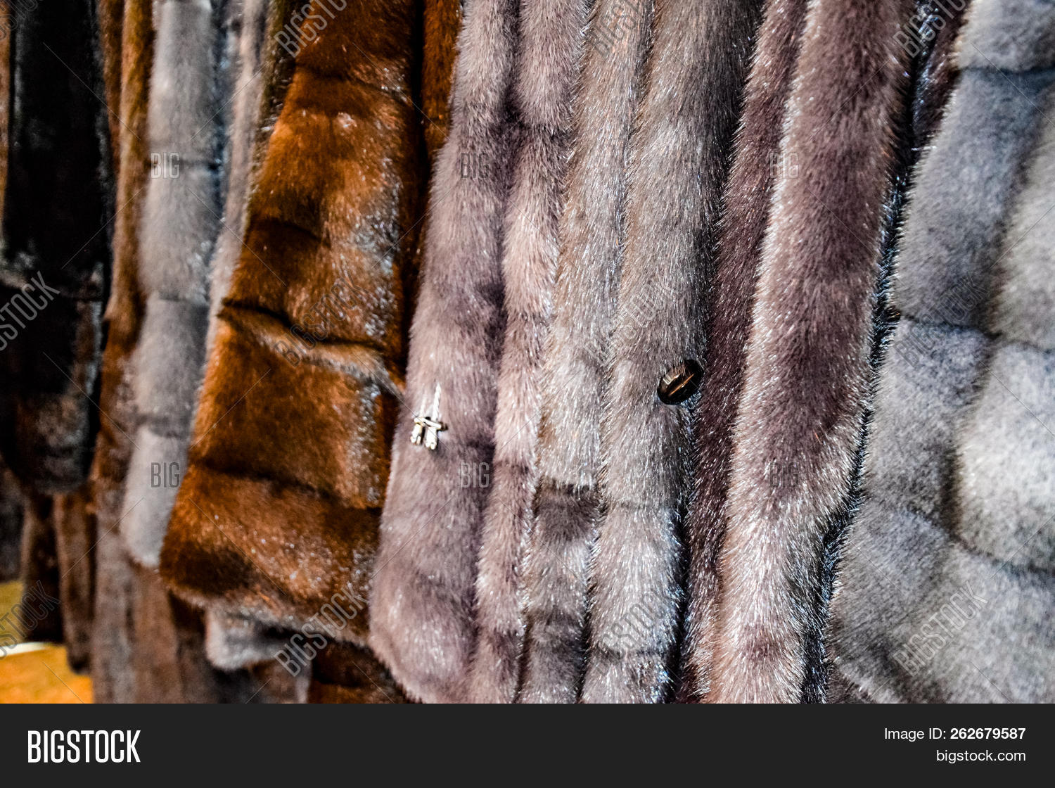 Fur Coats On Hangers. Image & Photo (Free Trial) | Bigstock