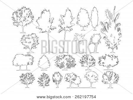 Set Side View Vector & Photo (Free Trial) | Bigstock
