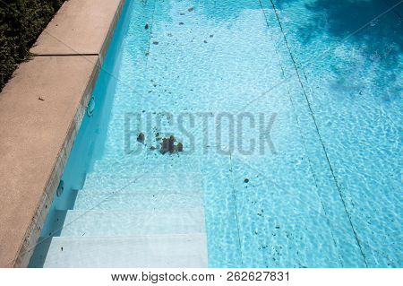 Dirty Swimming Pool Image & Photo (Free Trial) | Bigstock