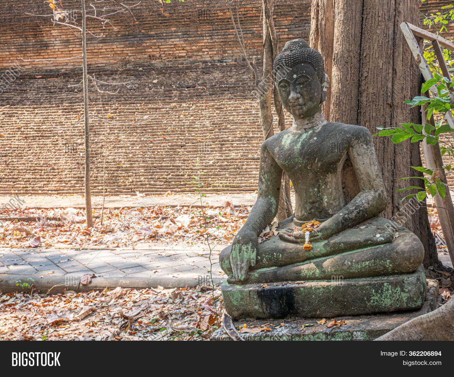 Old Buddha Statue Image & Photo (Free Trial) | Bigstock