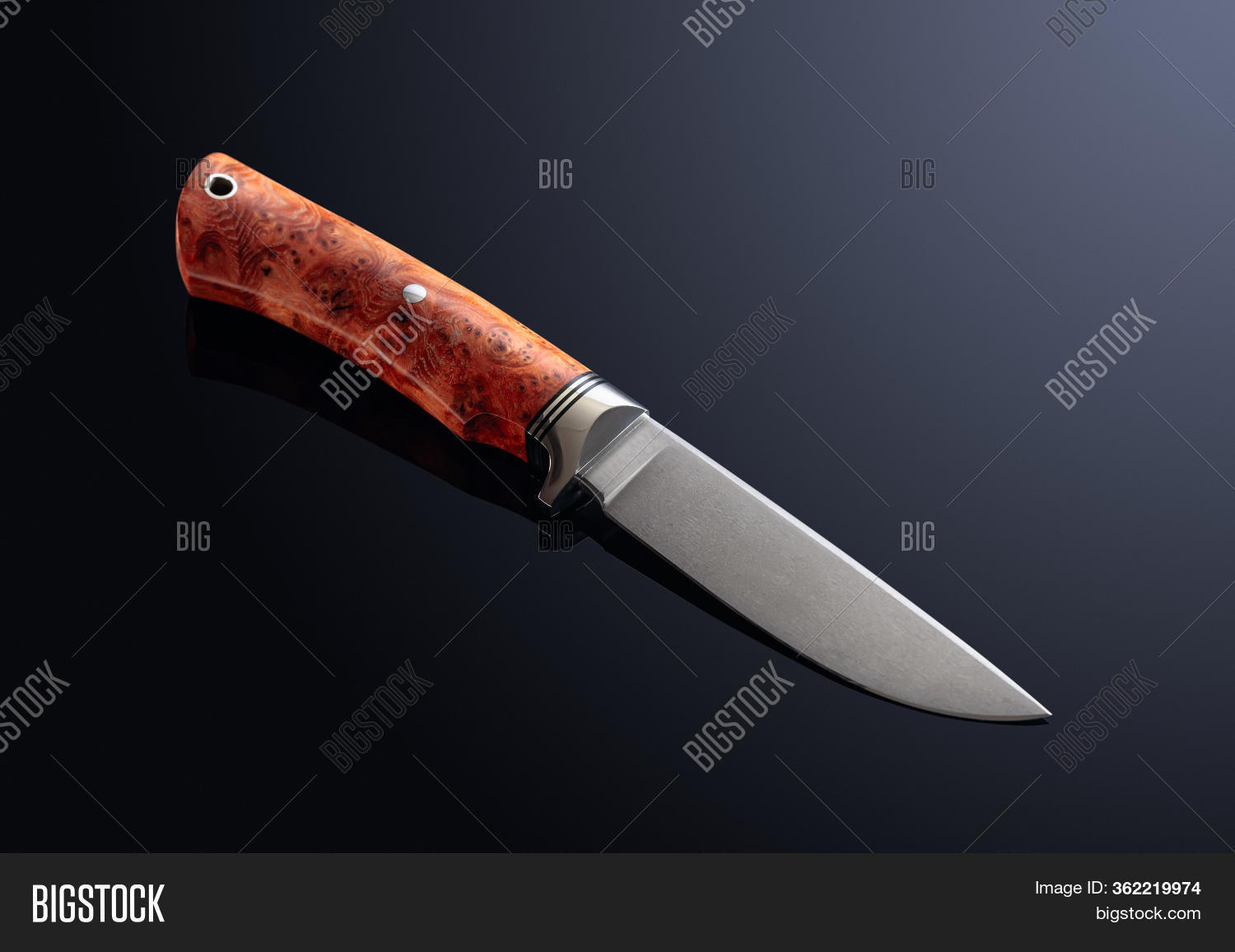 Hunter Combat Hand Image & Photo (Free Trial) | Bigstock