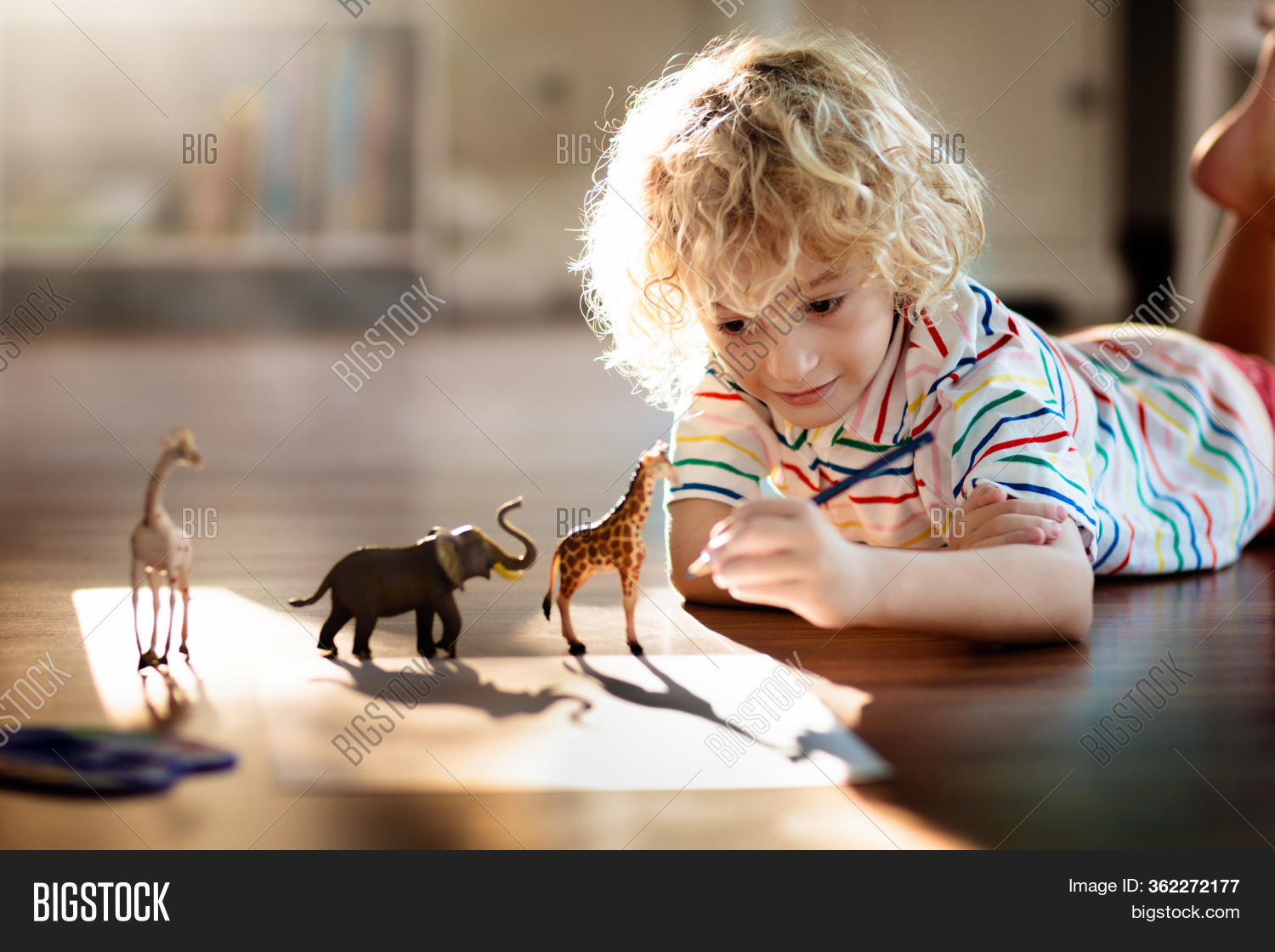 Child Shadow Drawing Image & Photo (Free Trial) | Bigstock