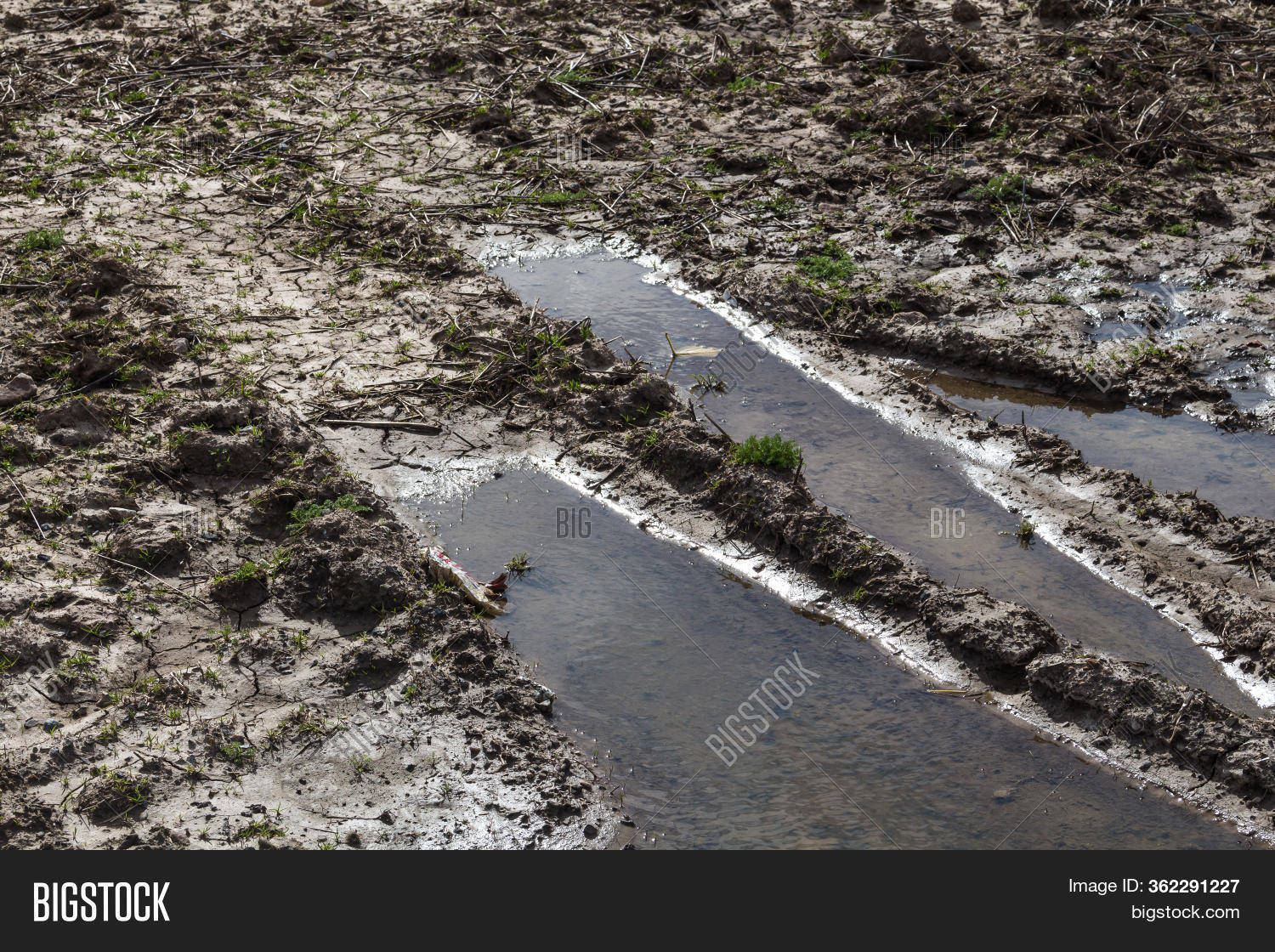 Brown Soil Spring, Image & Photo (Free Trial) | Bigstock