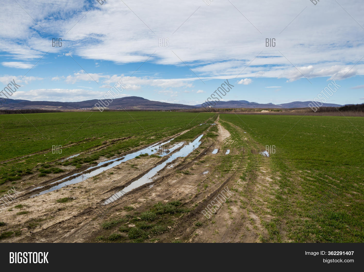 Green Spring Fields Image & Photo (Free Trial) | Bigstock