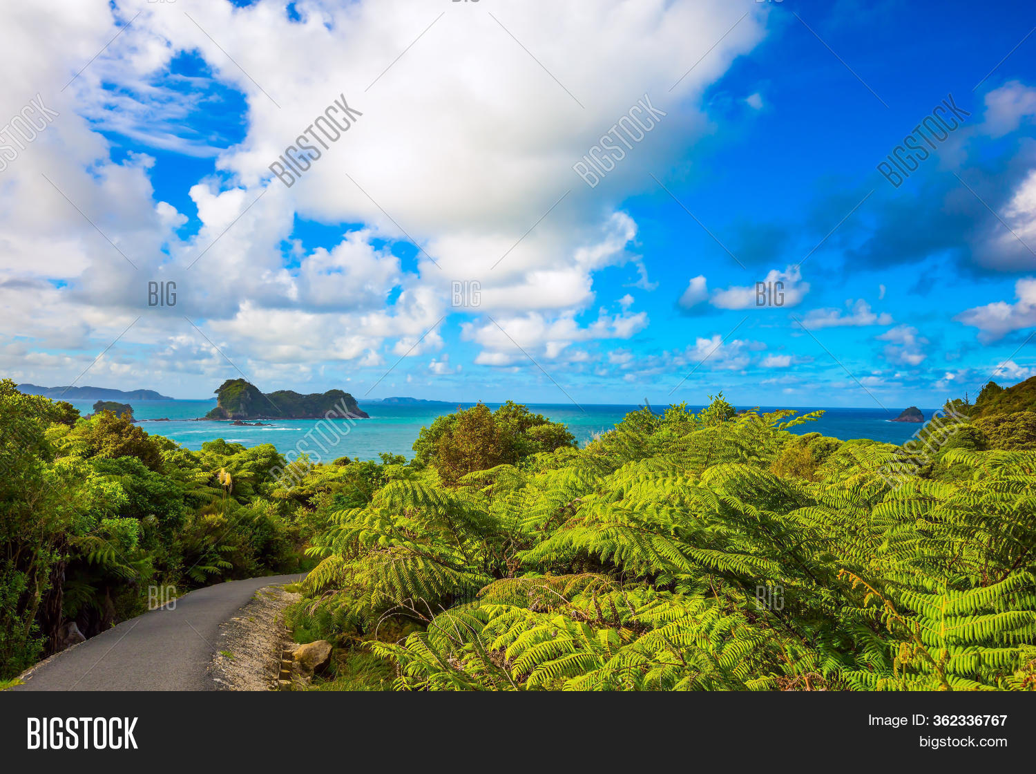 Picturesque Trees Grow Image & Photo (Free Trial) | Bigstock