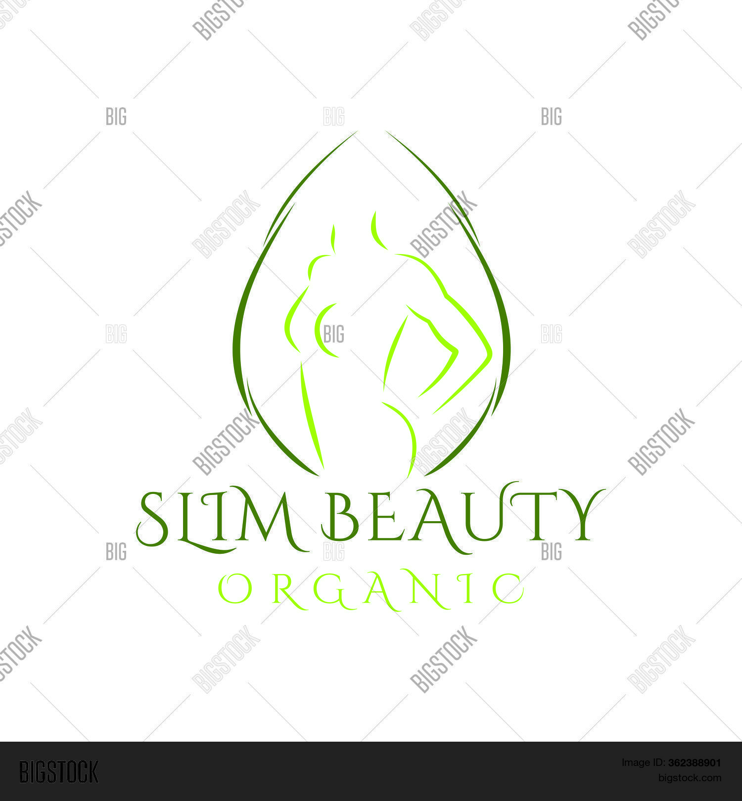 Slim Beauty Woman. Vector & Photo (Free Trial) | Bigstock