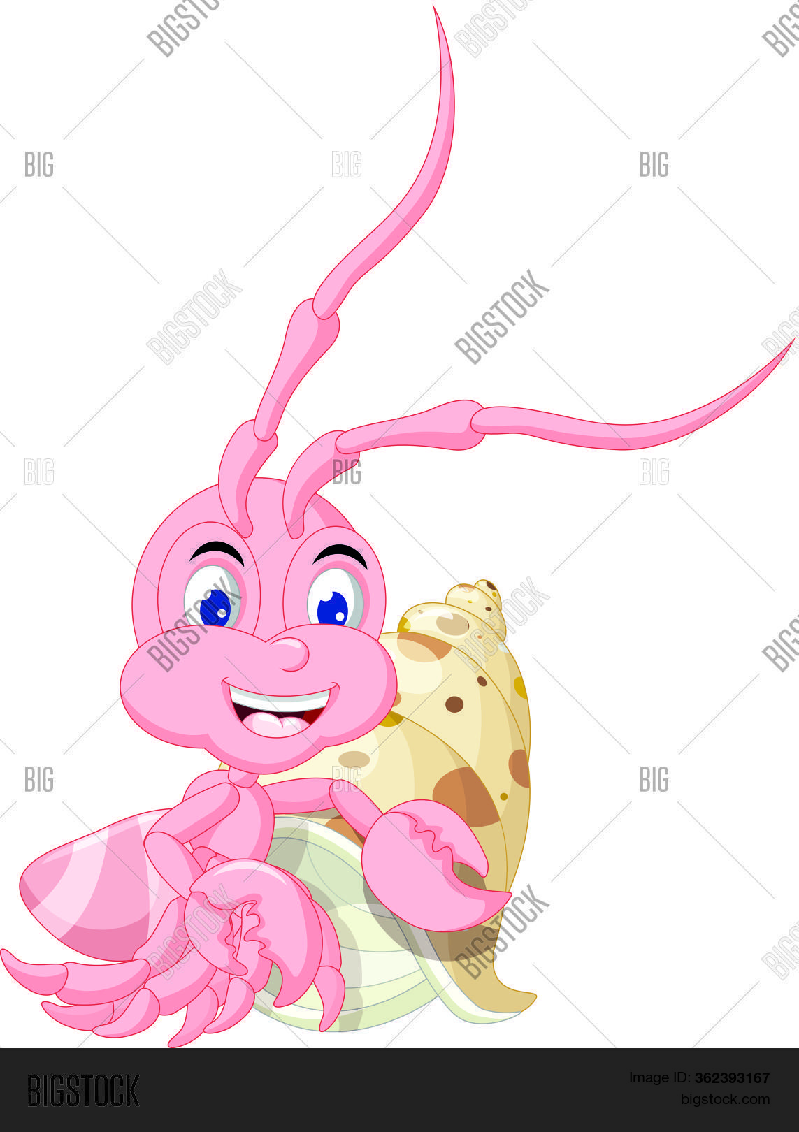 Cute Pink Hermit Crab Vector & Photo (Free Trial) | Bigstock