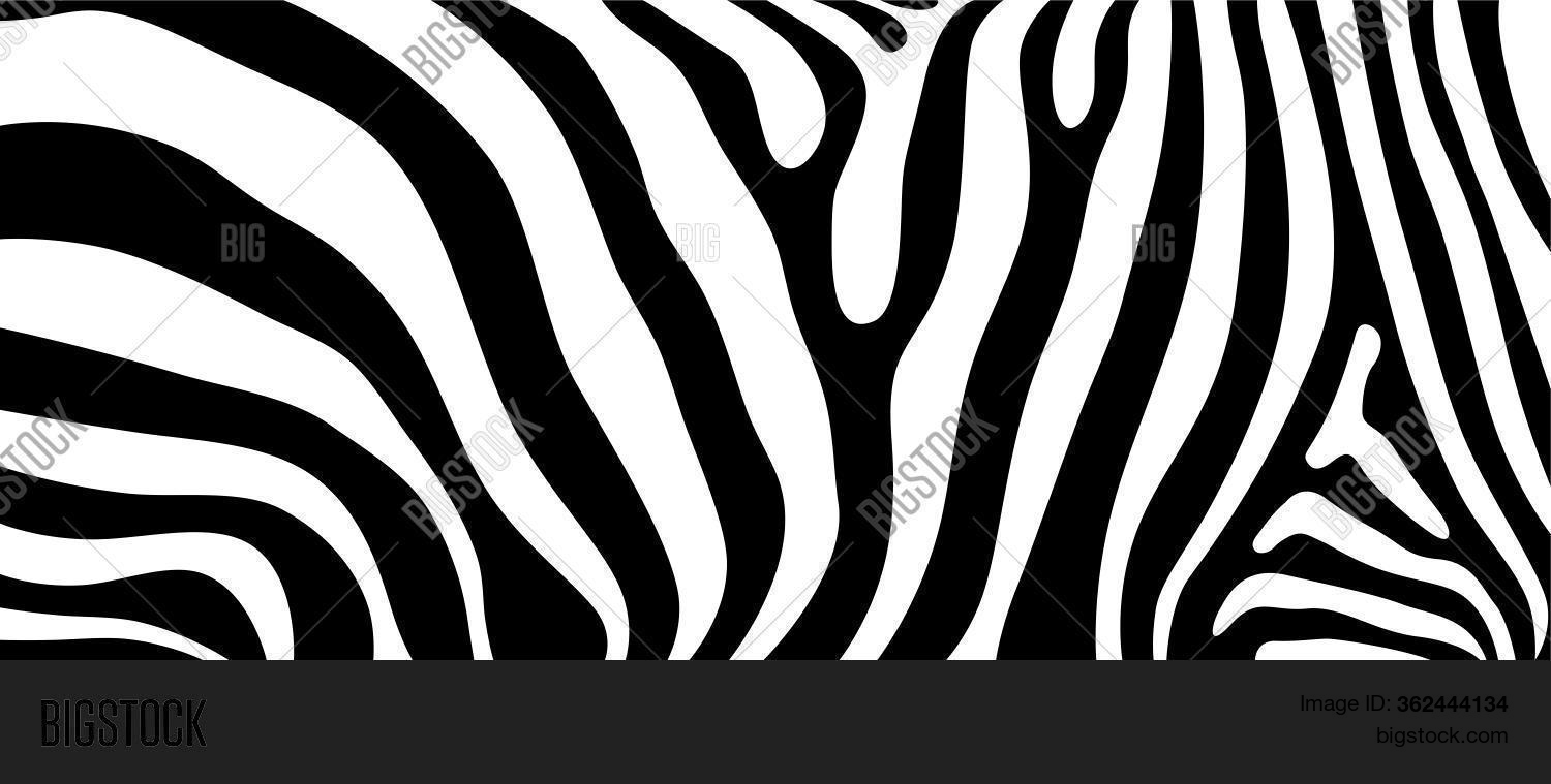 Abstract Vector Vector & Photo (Free Trial) | Bigstock