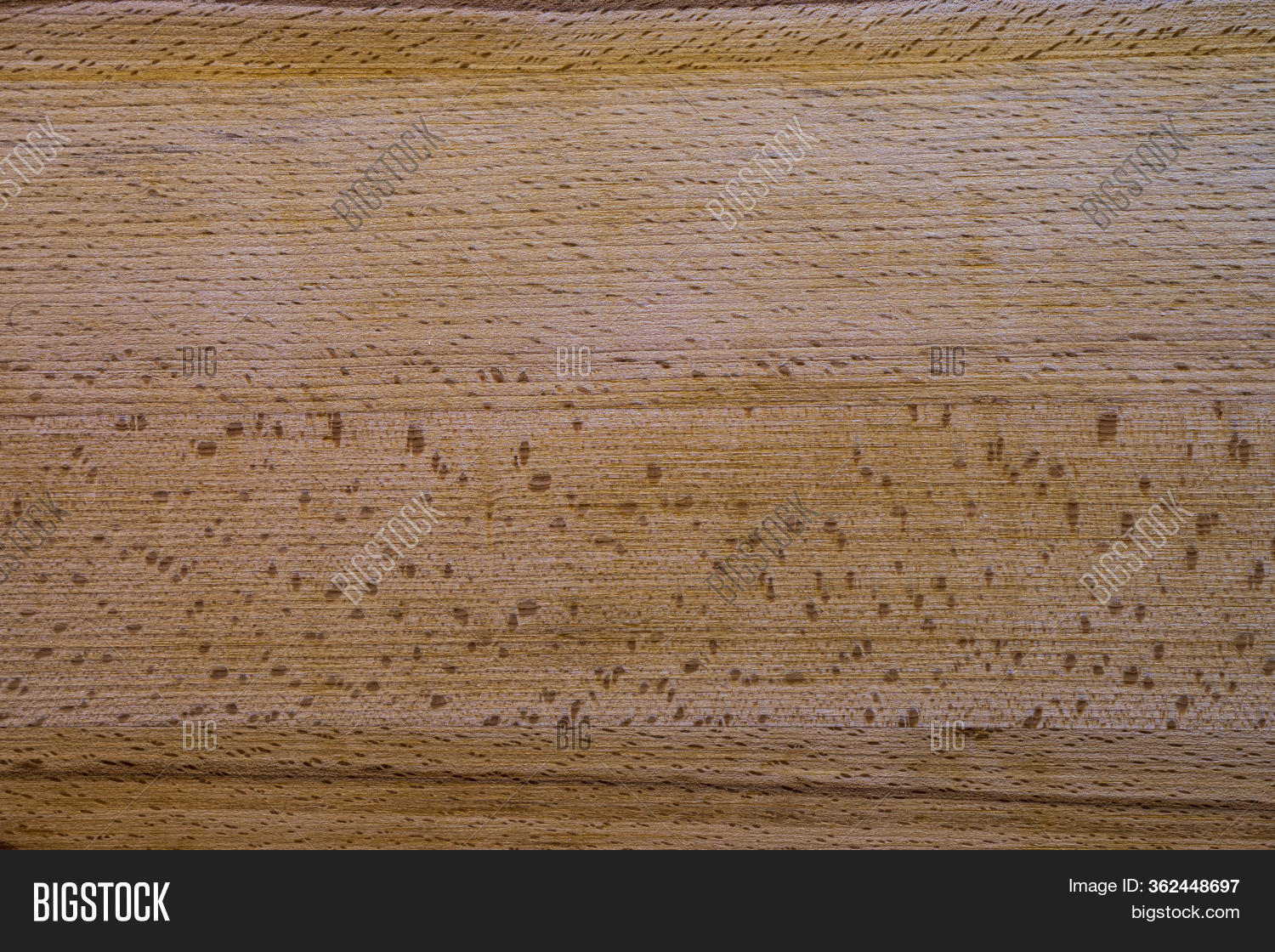 Beech Wood Texture Use Image & Photo (Free Trial) | Bigstock