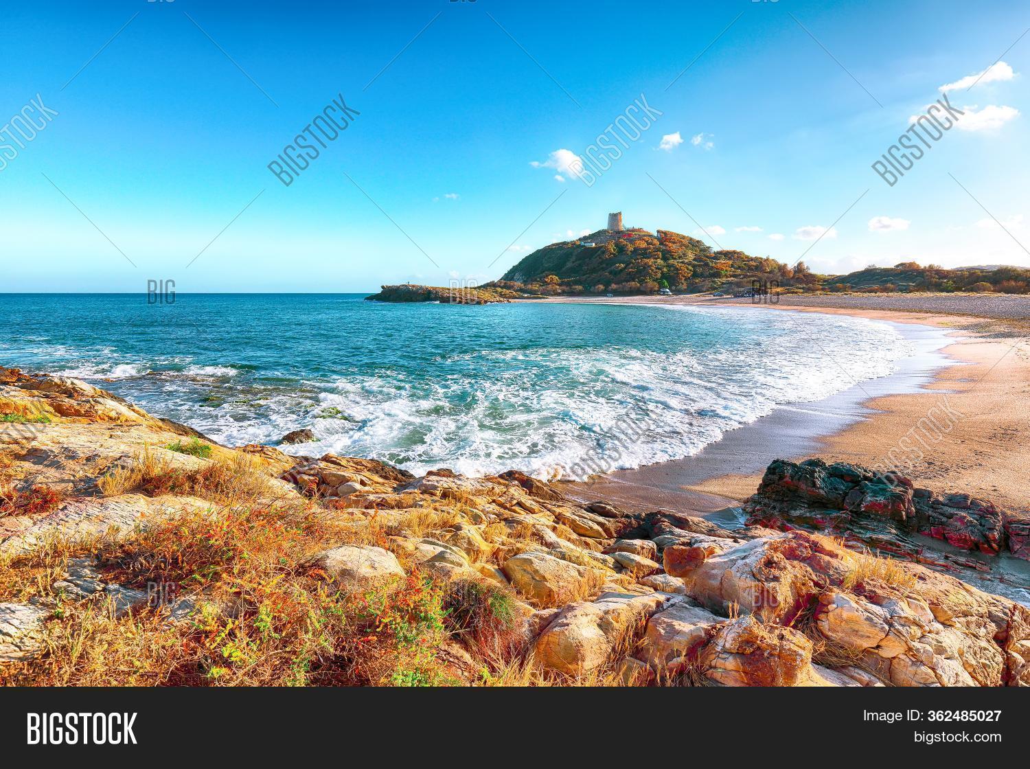 View Beautiful Chia Image & Photo (Free Trial) | Bigstock