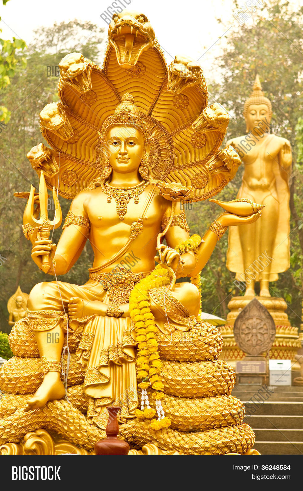 Golden Buddha 7 Snake Image & Photo (Free Trial) | Bigstock