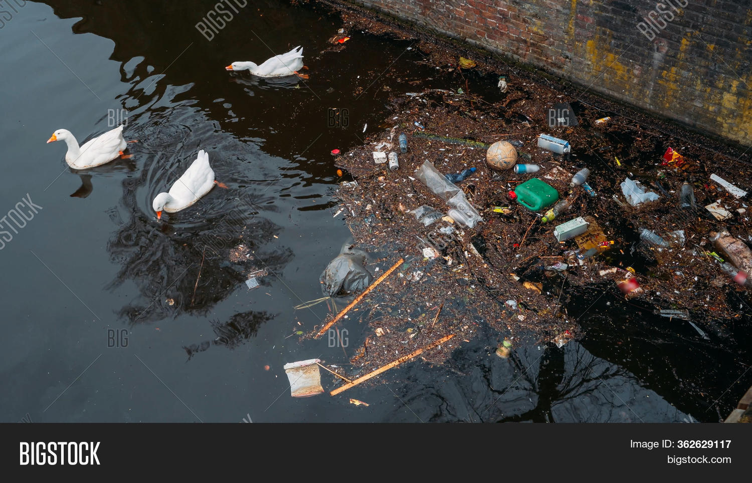 Amsterdam City Trash Image & Photo (Free Trial) | Bigstock