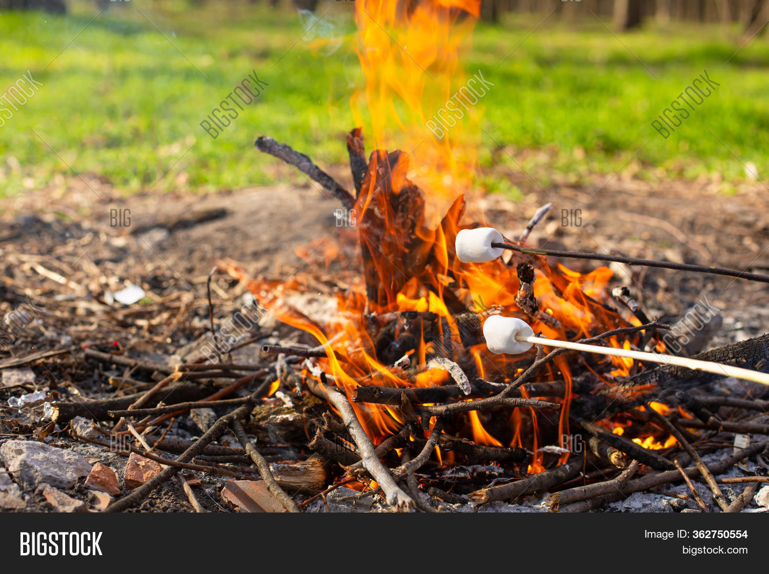 Camping Bonfire, Image & Photo (Free Trial) | Bigstock