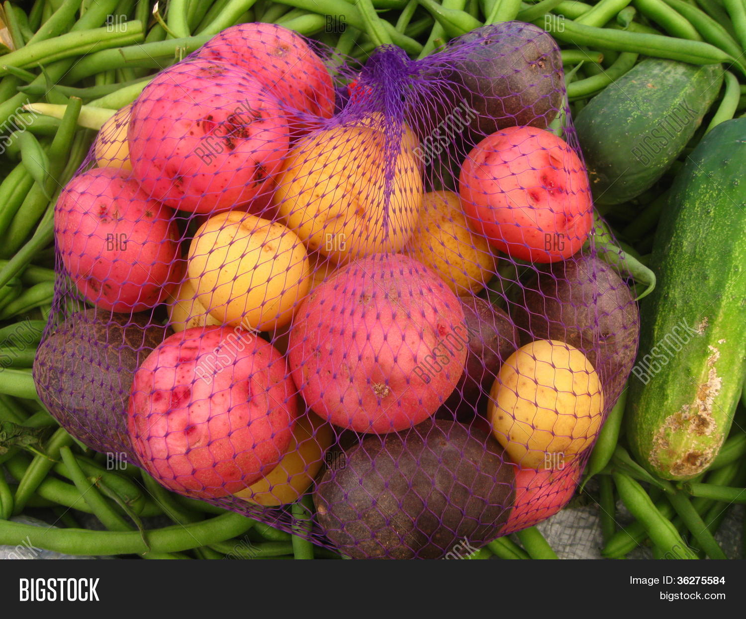 Multicolor Potatoes Image & Photo (Free Trial) | Bigstock