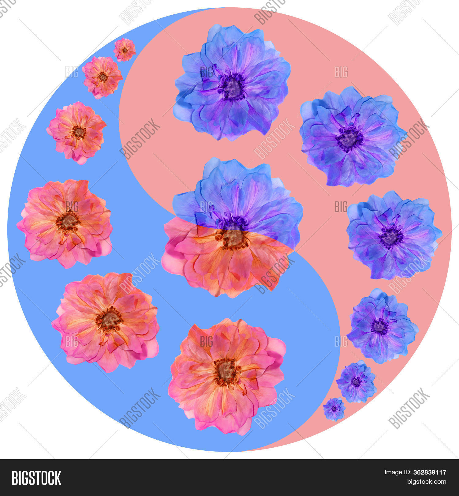 Floral Symbol Yin-yang Image & Photo (Free Trial) | Bigstock
