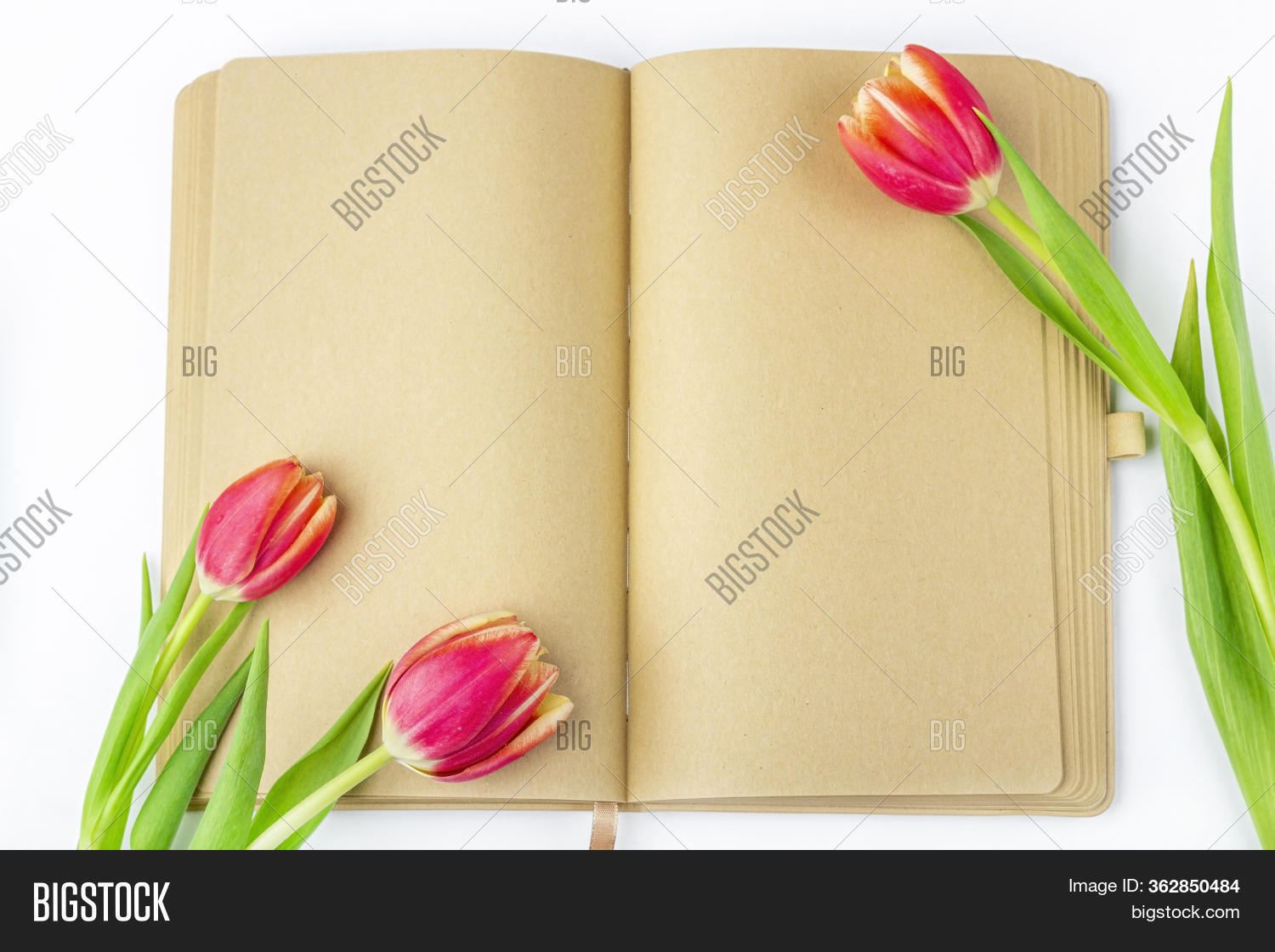 Blank Open Diary ( Image & Photo (Free Trial) | Bigstock