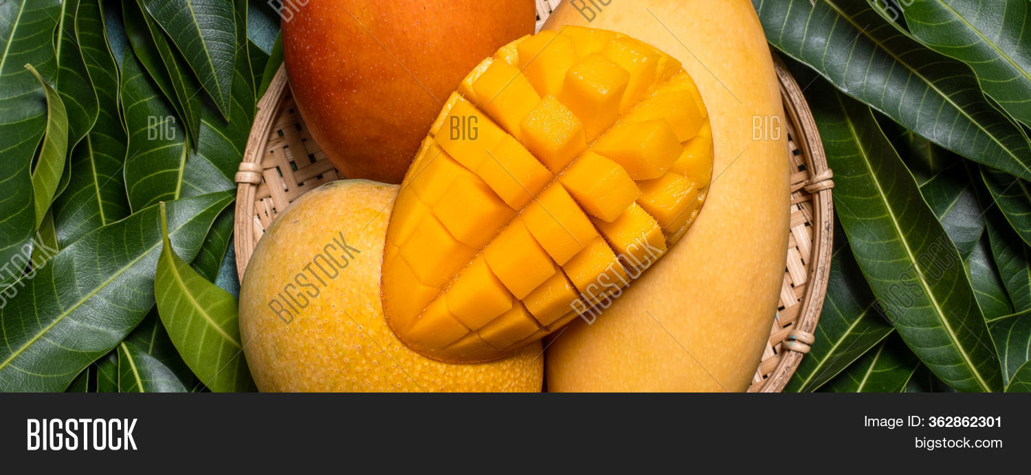 Mango, Tropical Fruit Image & Photo (Free Trial) | Bigstock