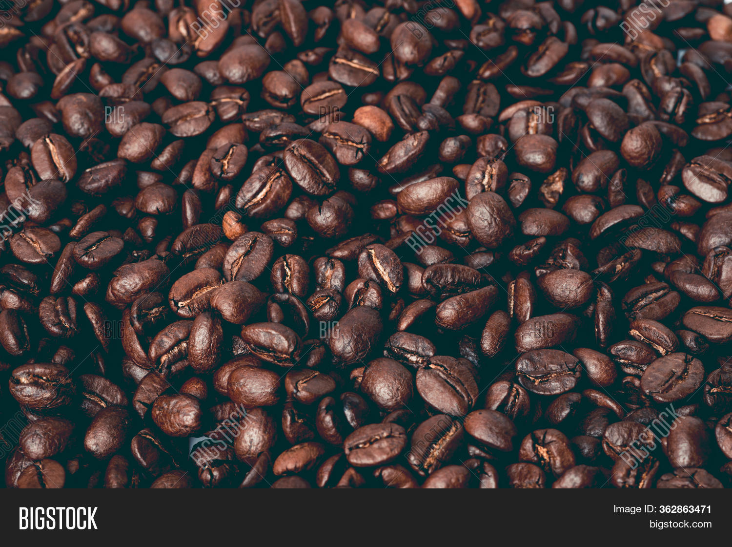 Brown Coffee Bean Image & Photo (Free Trial) | Bigstock