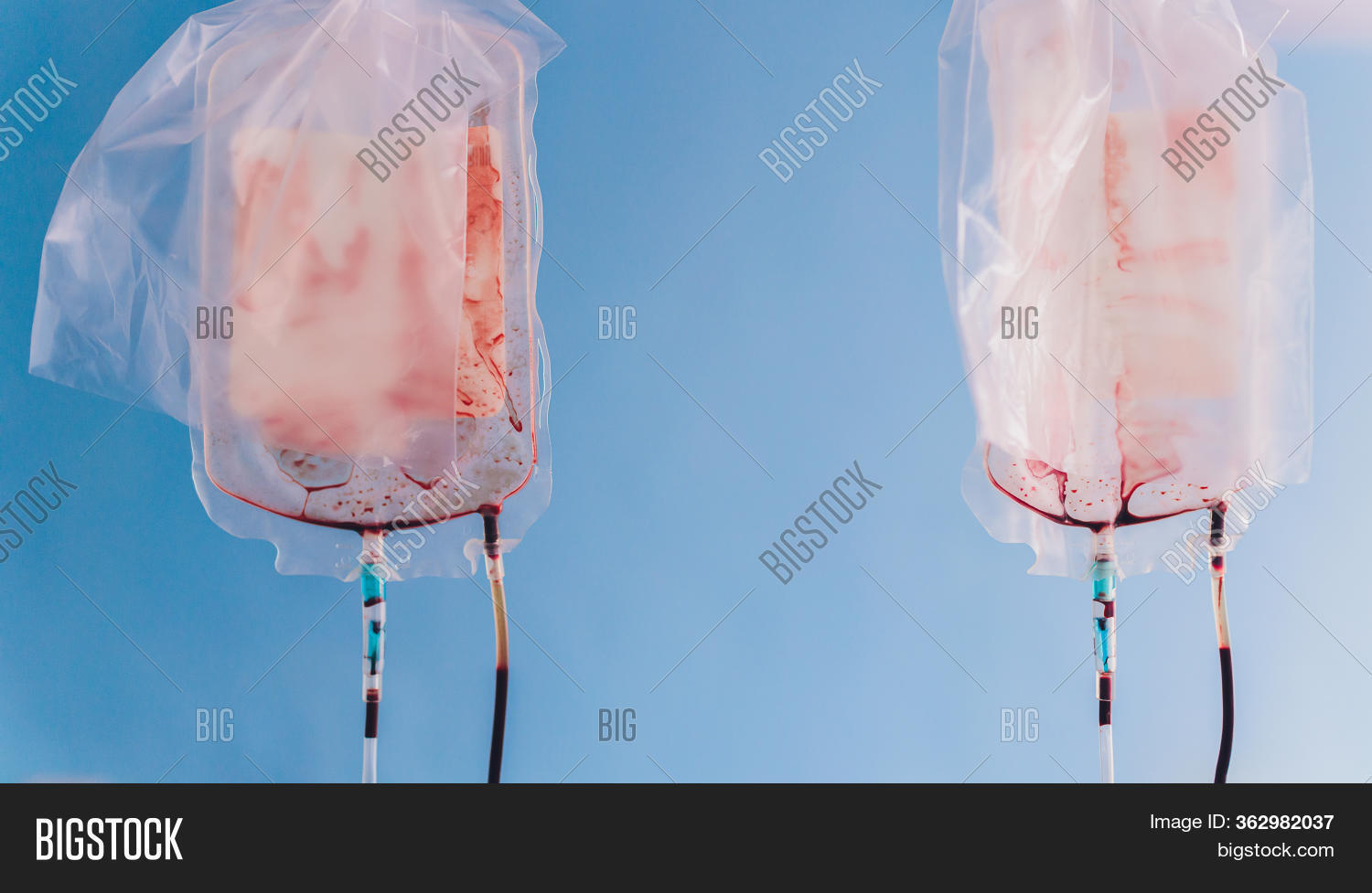 Blood Bag Infusion Image & Photo (Free Trial) | Bigstock
