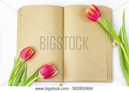Blank Open Diary ( Image & Photo (Free Trial) | Bigstock