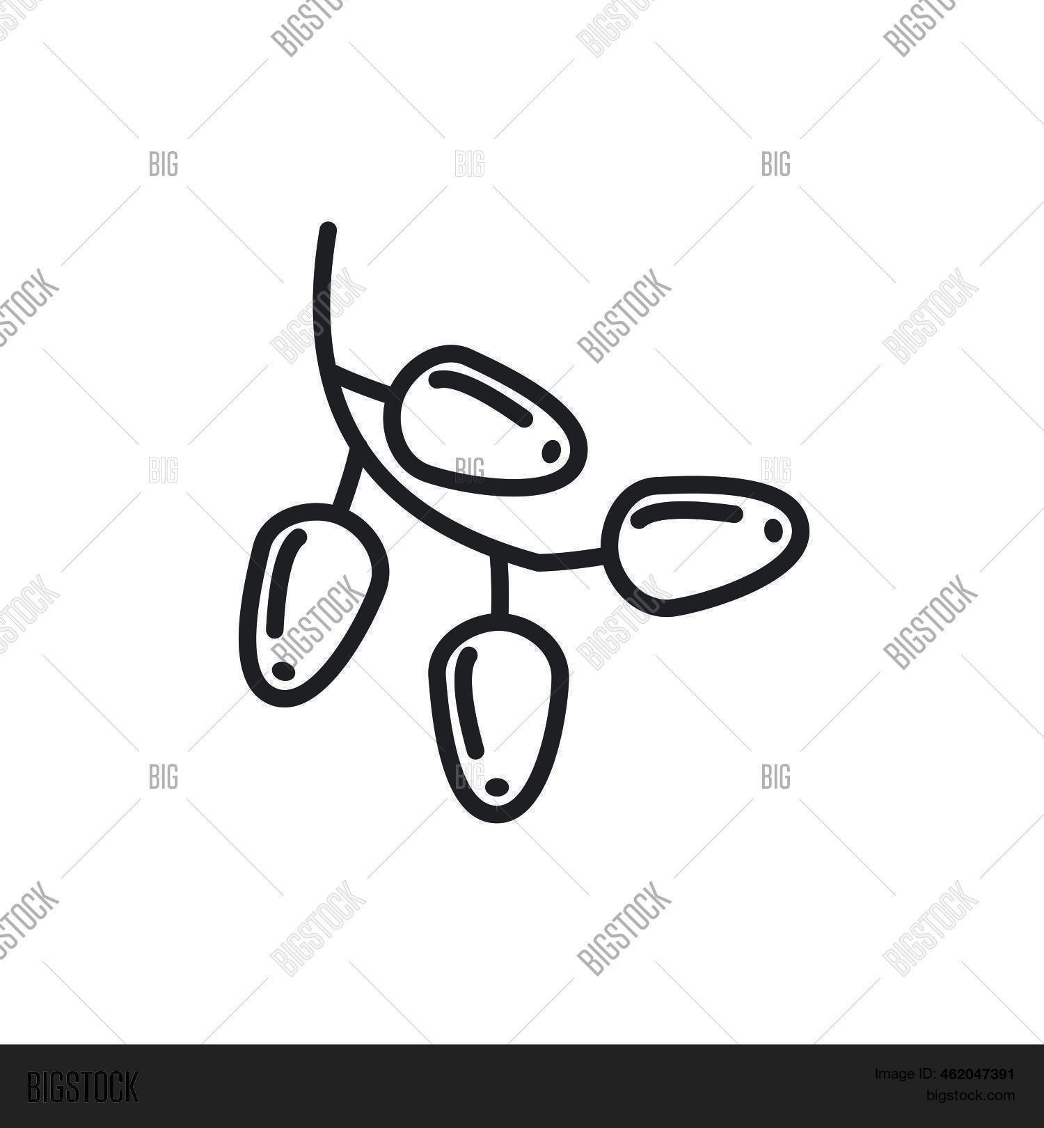 Date Palm Icon Vector & Photo (Free Trial) | Bigstock