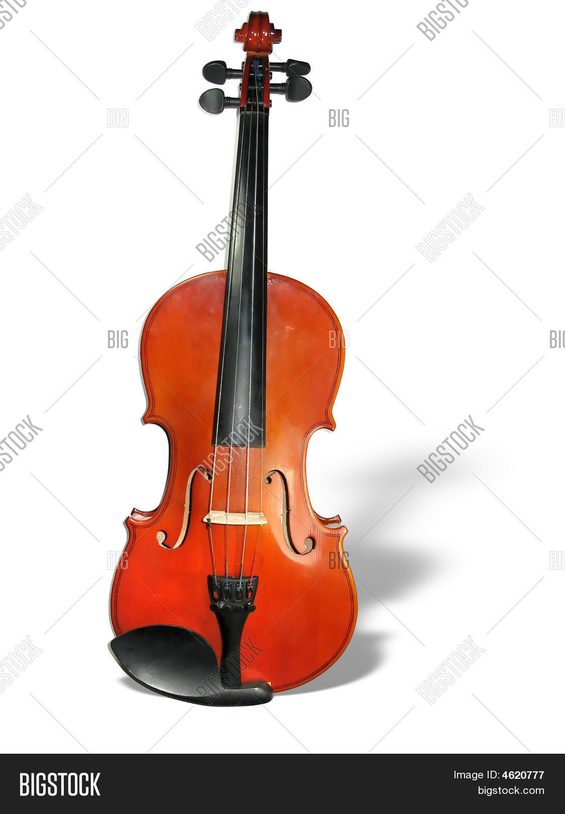 Classic Violin Shadow Image & Photo (Free Trial) | Bigstock