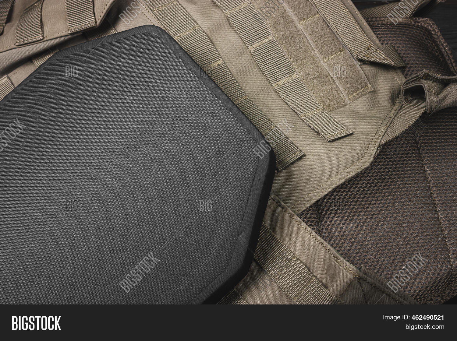 Ballistic Insert Body Image & Photo (Free Trial) | Bigstock