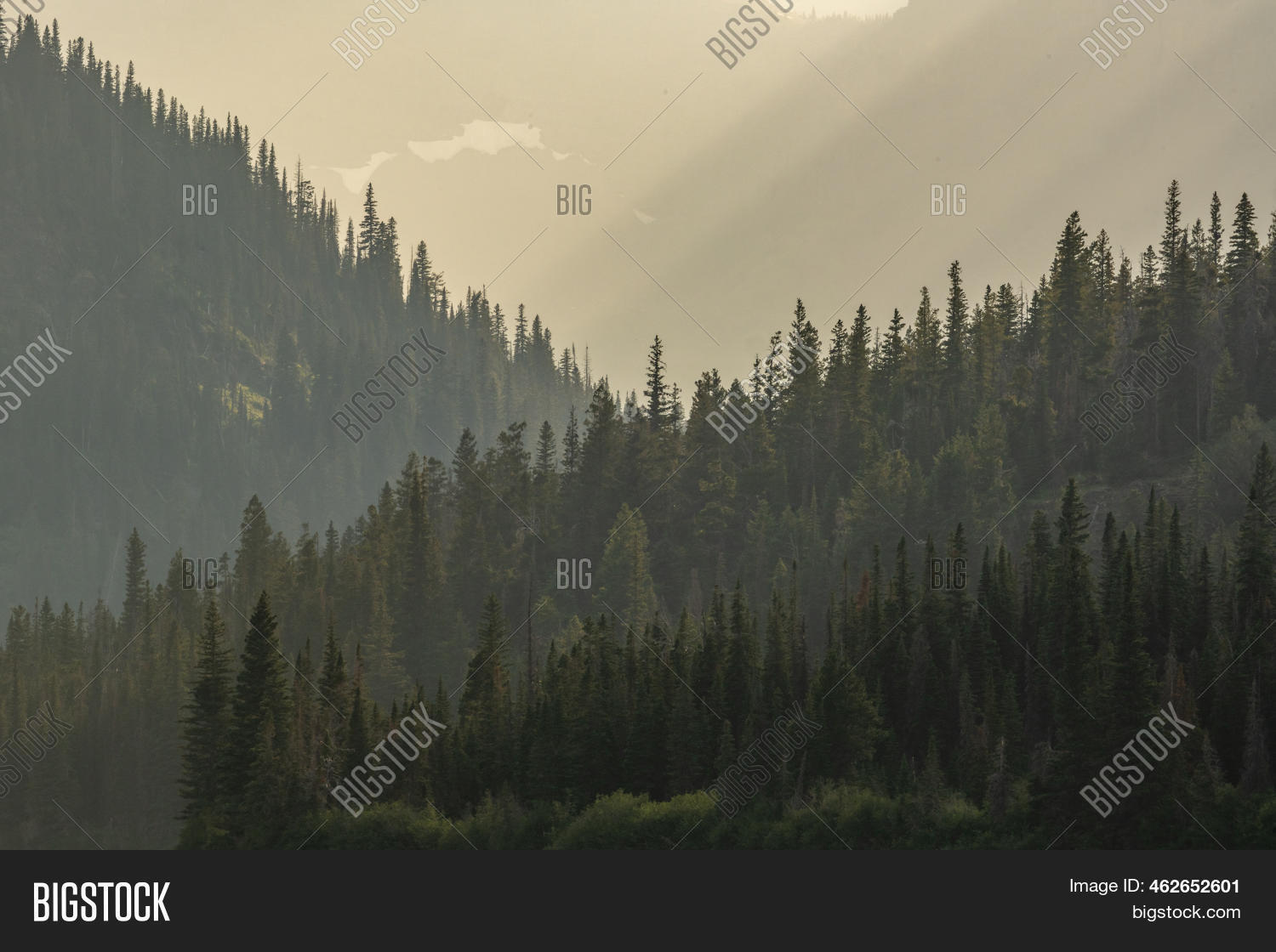 Layers Forests Image & Photo (Free Trial) | Bigstock