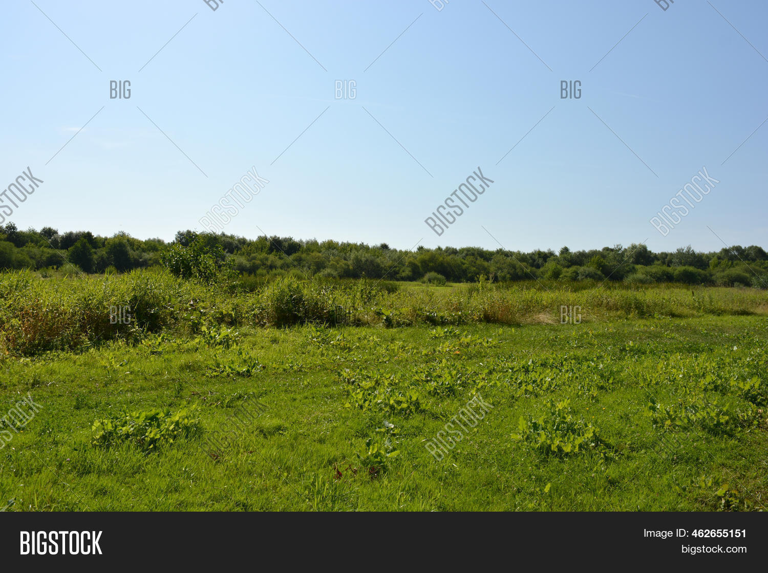 Beautiful Fields, Image & Photo (Free Trial) | Bigstock
