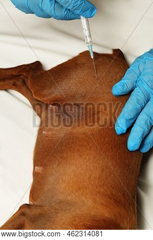 Doctors Hands Give Image & Photo (Free Trial) | Bigstock