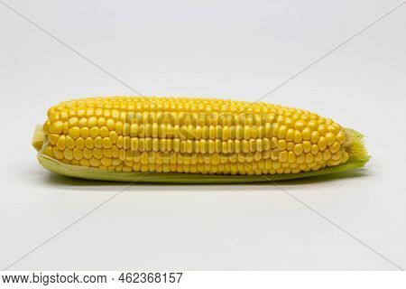 Single Ear Corn Image & Photo (Free Trial) | Bigstock